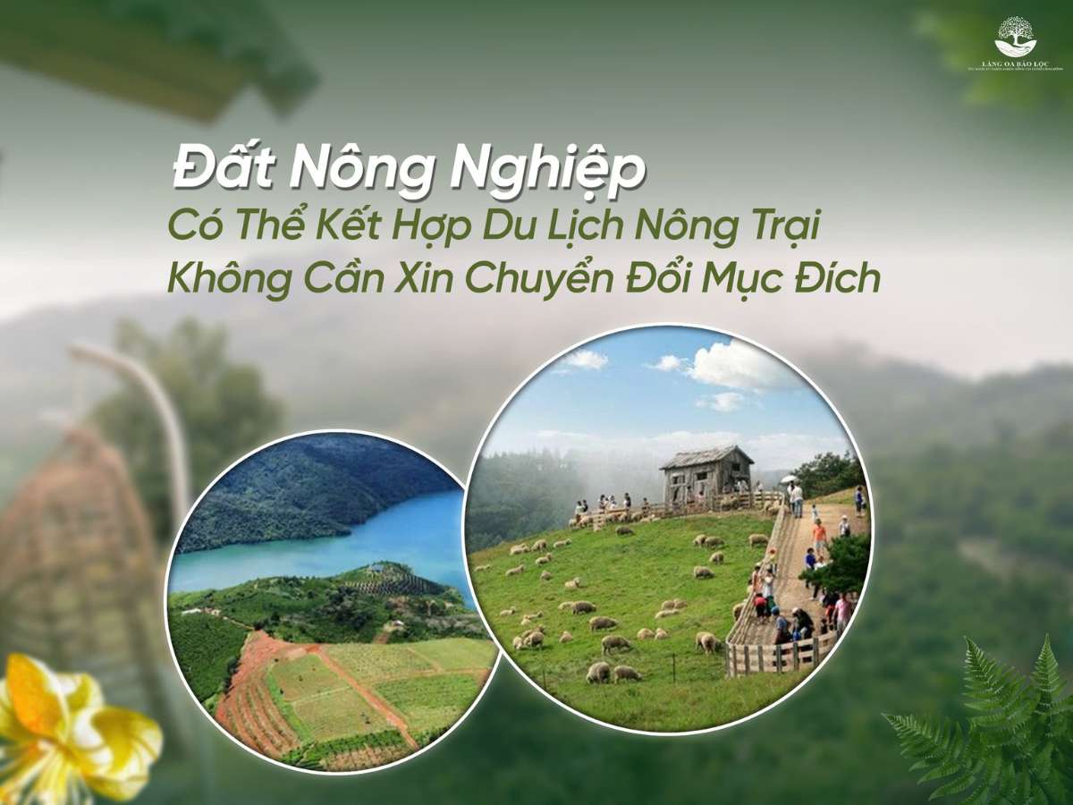 Đất nông nghiệp có thể kết hợp làm du lịch nông trại không cần xin ...